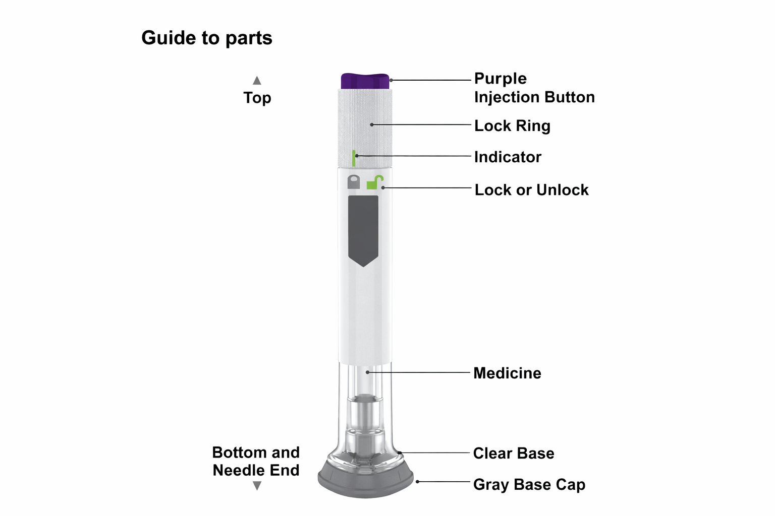 Best Place to Inject Mounjaro for Weight Loss | Injection Site Guide